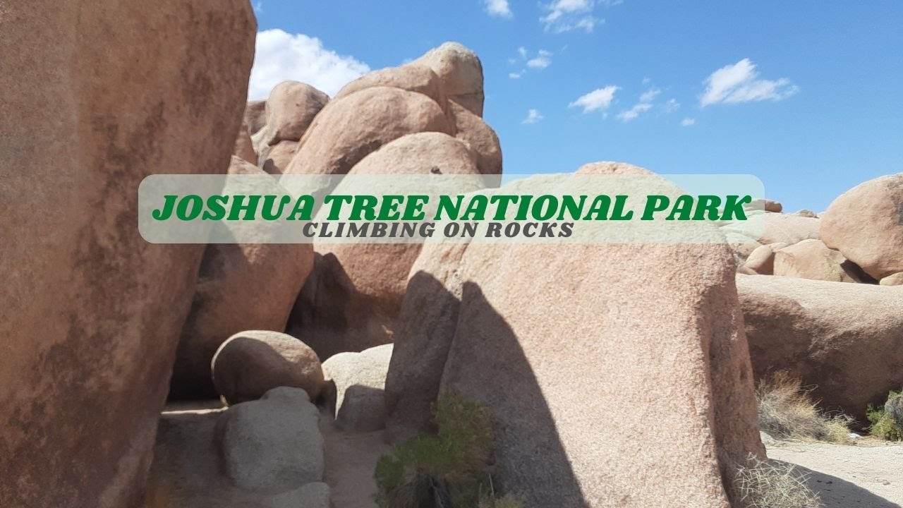 Climbing on Some Rocks in Joshua Tree National Park & Watching Out for ...