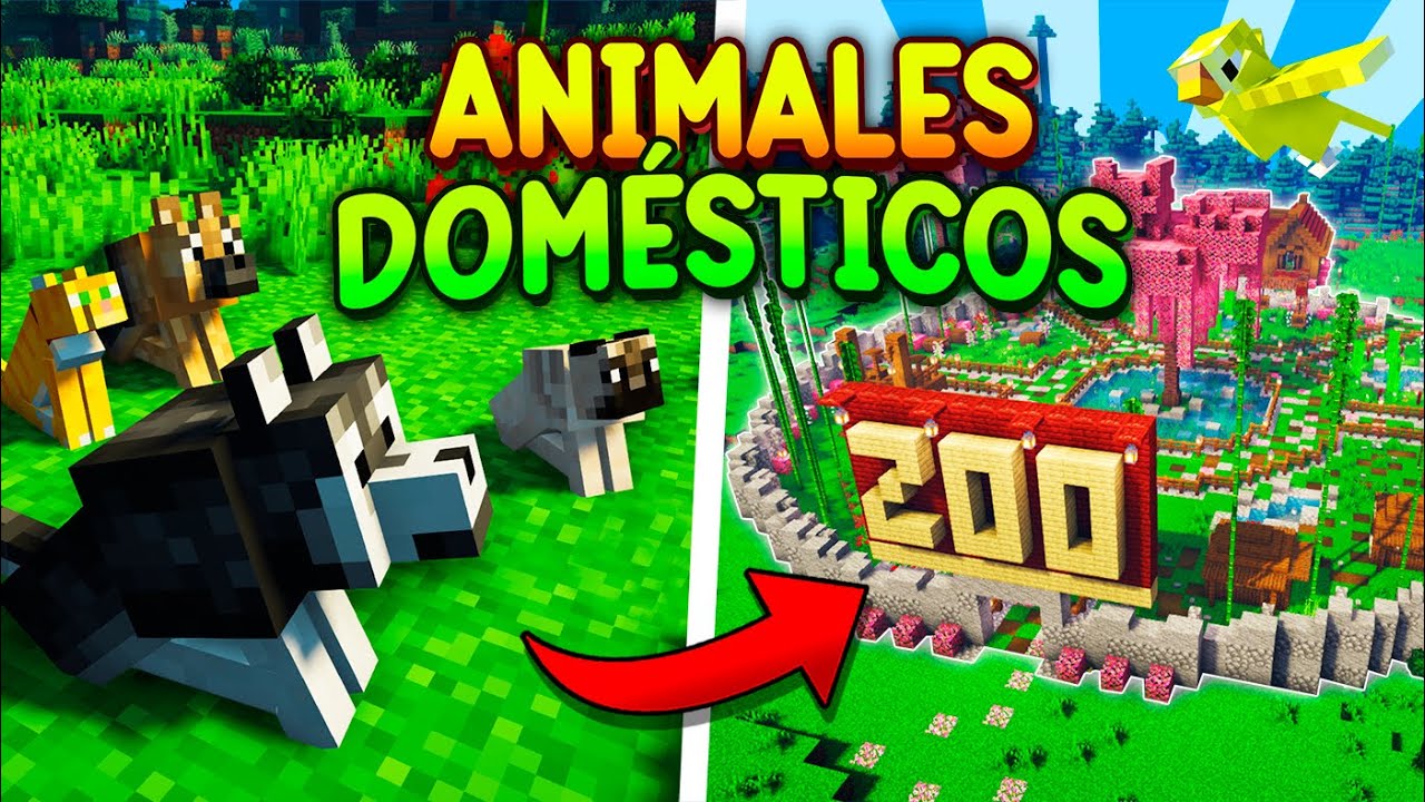Construí un ZOOLÓGICO con ANIMALES DOMÉSTICOS en MINECRAFT 🐶🐱 - YouTube