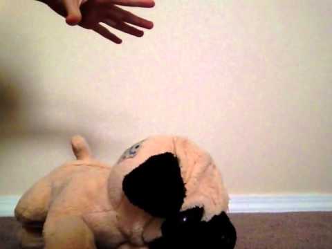 Dropping a stuffed animal - YouTube