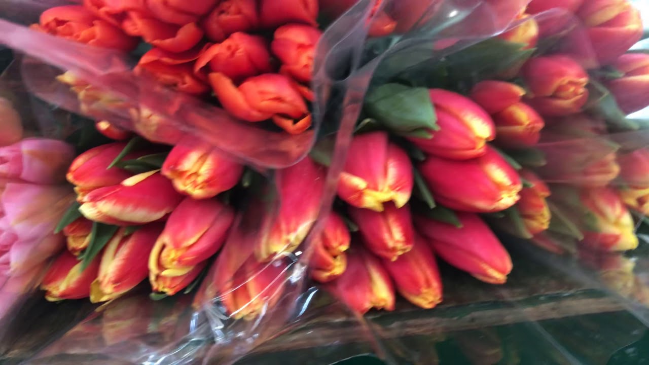 5 10 35500 YouTube 5-10-35500-youtube