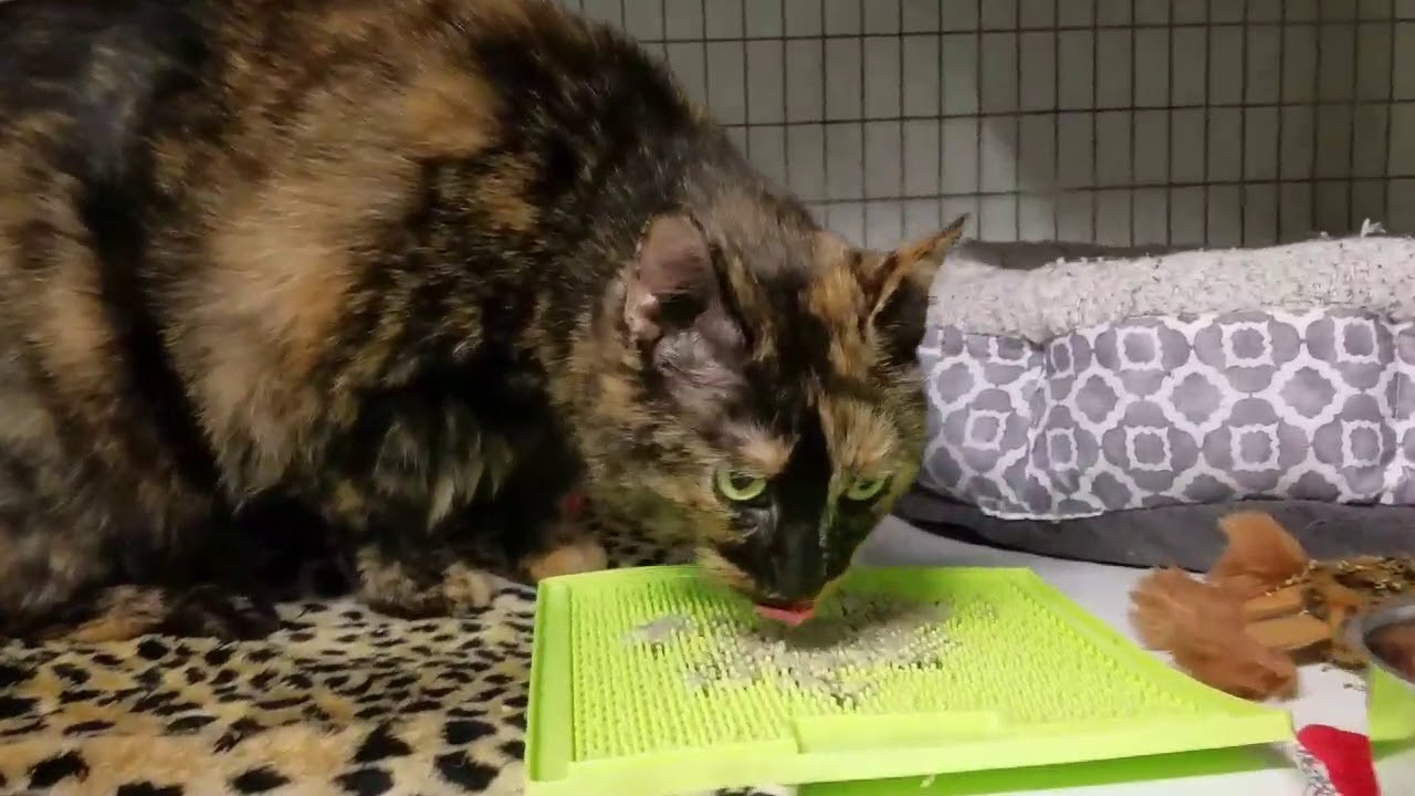 Clementine Licky Mat - YouTube
