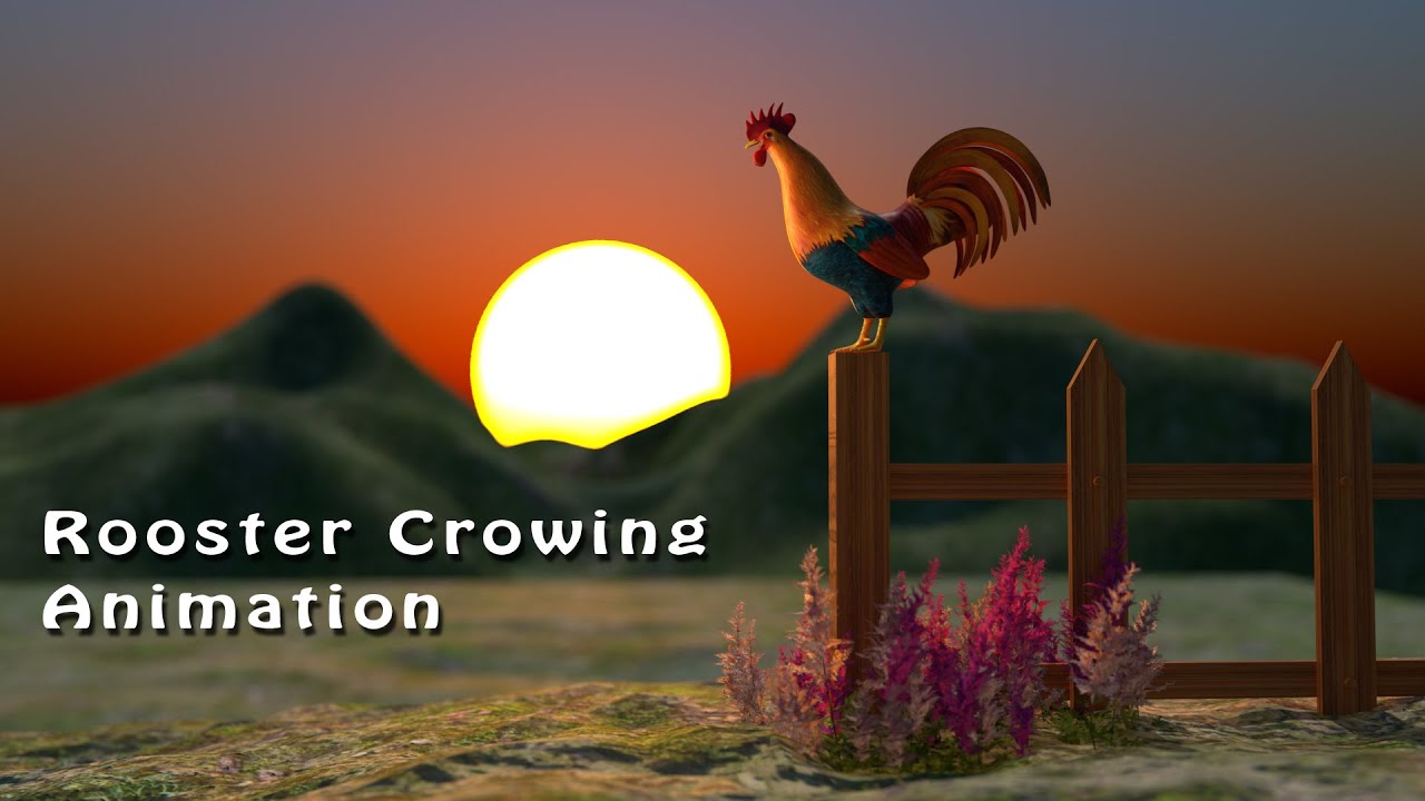 Rooster Crowing Short Animation In Blender - YouTube