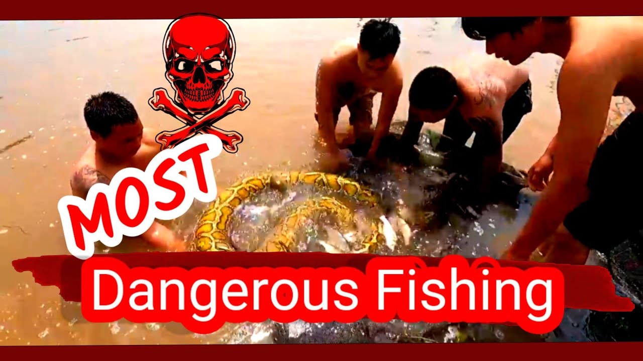| Dangerous Fishing| Killing Snake|World Fomous Fishing| - YouTube