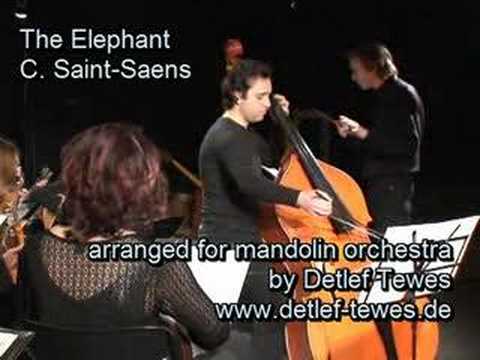The Elephant C. Saint-Saens Double Bass Mandolin Orchestra - YouTube