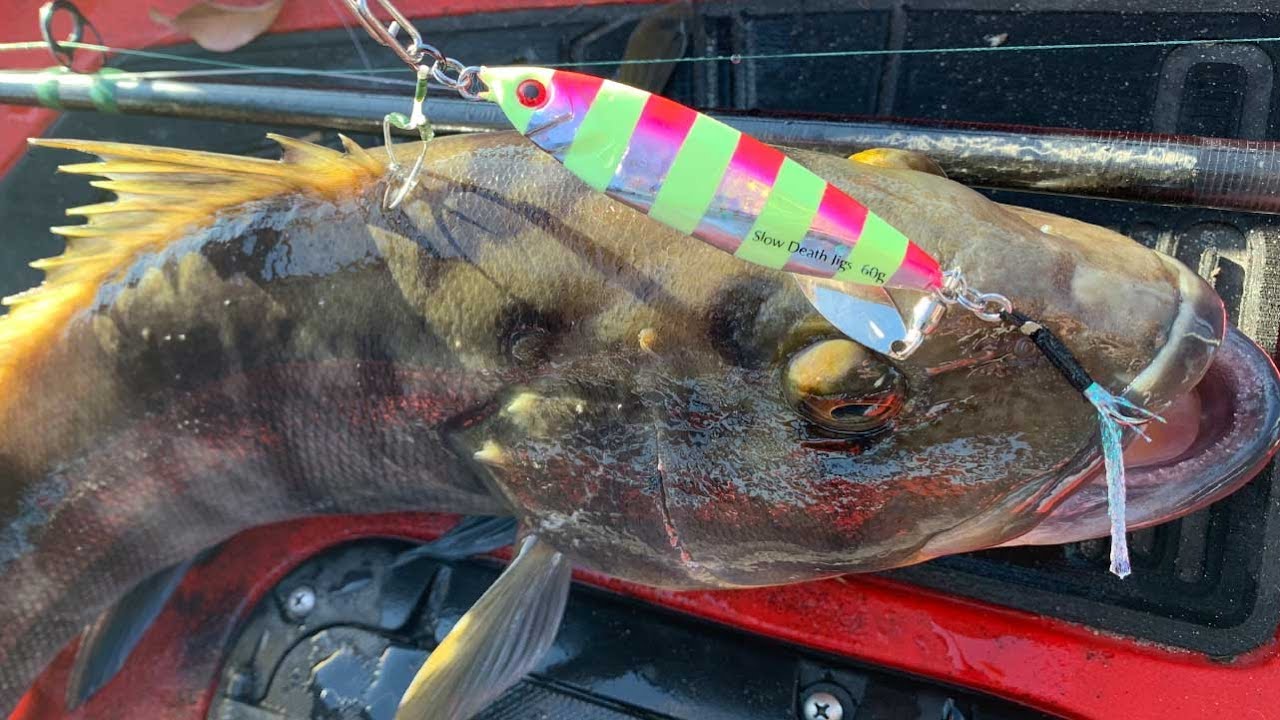 There's a good one! | Sand Bass fishing | San Diego Bay, CA - YouTube