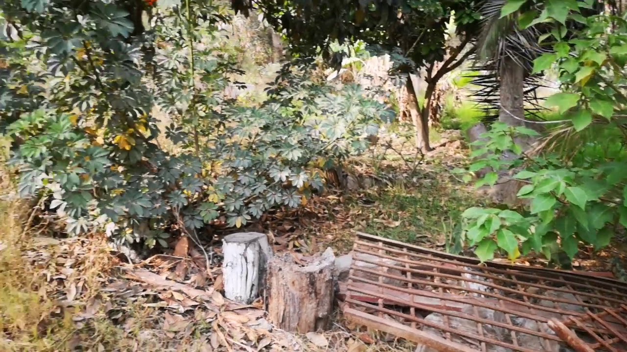 Abandono de Country Club El Bosque de Chosica - YouTube