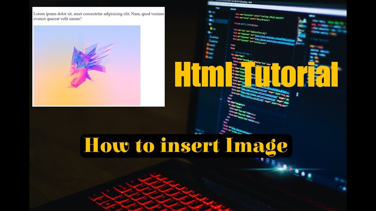 Html Tutorial How To Add Image In Html With Vs Code Web Development Youtube