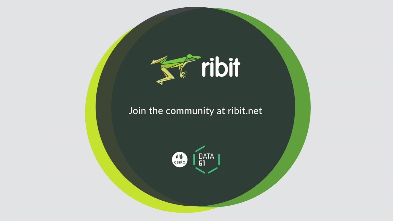 Ribit: Finding the right students for the right jobs - YouTube
