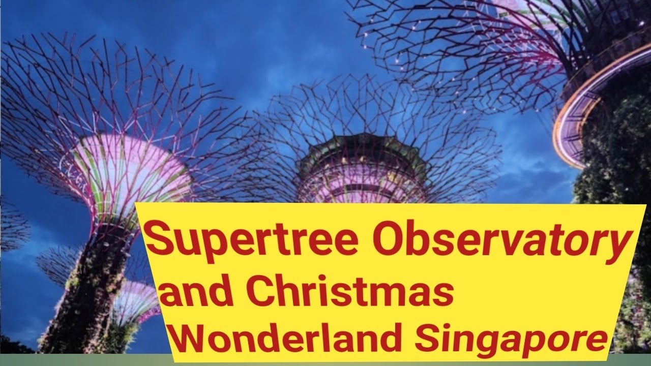 Supertree Observatory Light Show and Christmas Wonderland at Garden By ...