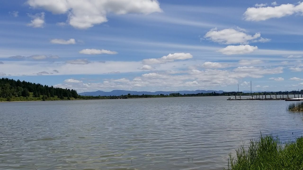 Surprising Pops with another picnic at our fav spot Fern Ridge Dam (OFL ...