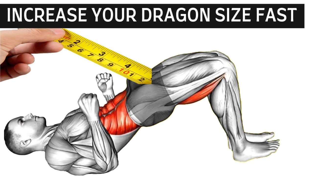 How To Increase Your Dragon Size Fast - KEGEL EXERCISE! - YouTube