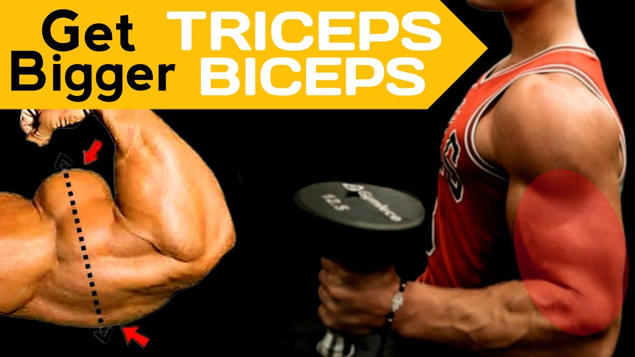my bollywood biceps workout | how to get big biceps fast | biceps kaise ...