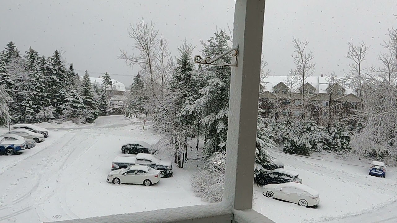 Halifax, Nova Scotia Snow Storm - YouTube