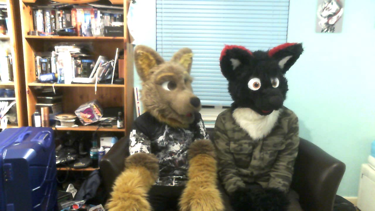 Reaction to World of Weird Channel 4 Furries - YouTube