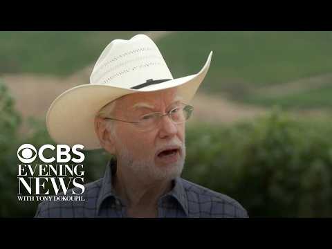 Grapes left to rot in California as wine industry shrinks by billions