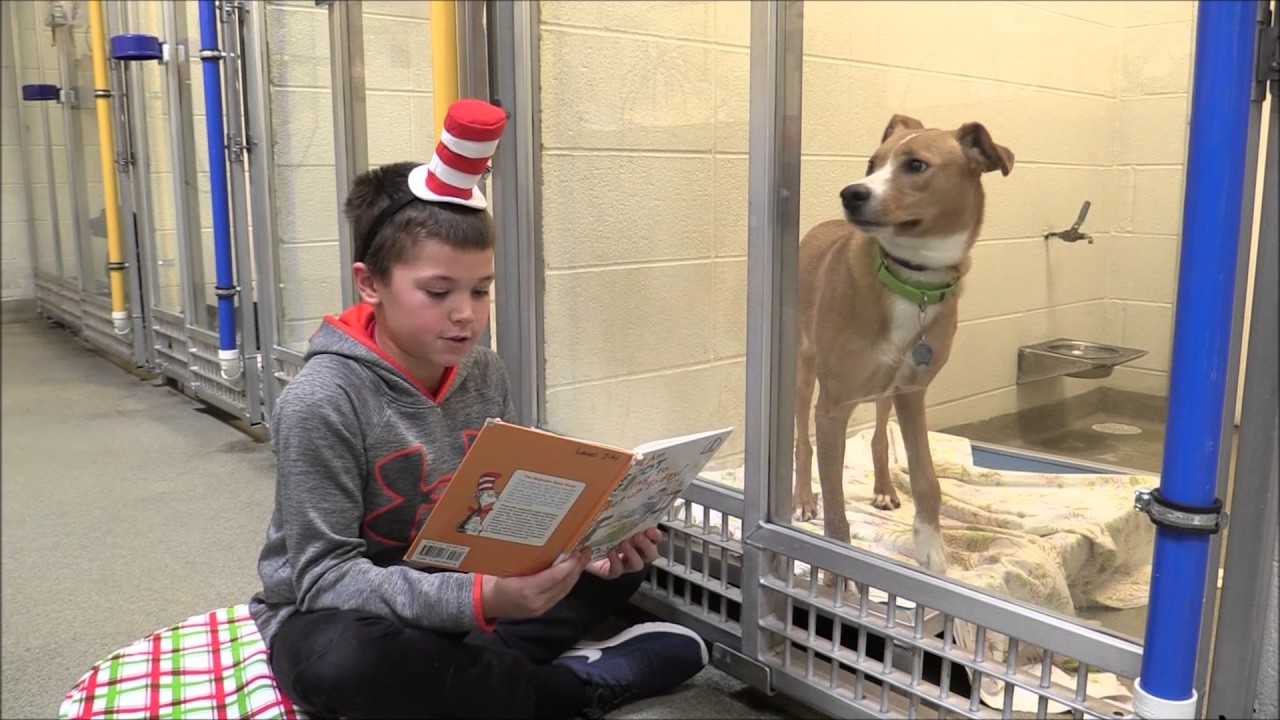 How Dogs Help Kids Read