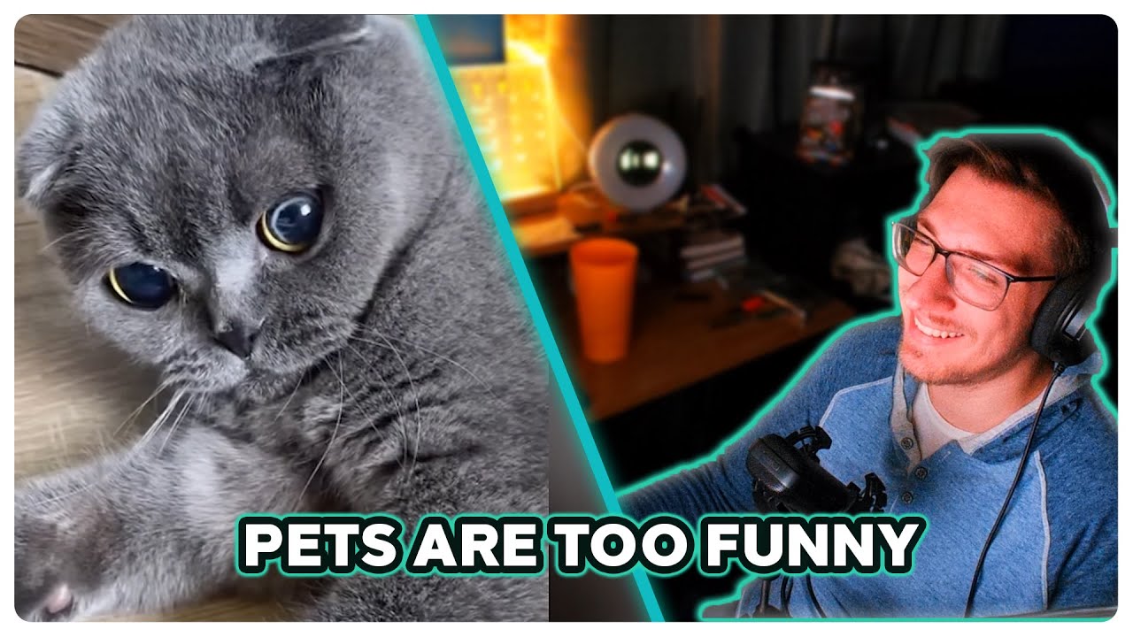 Must-See Funny Meme Compilation - YouTube