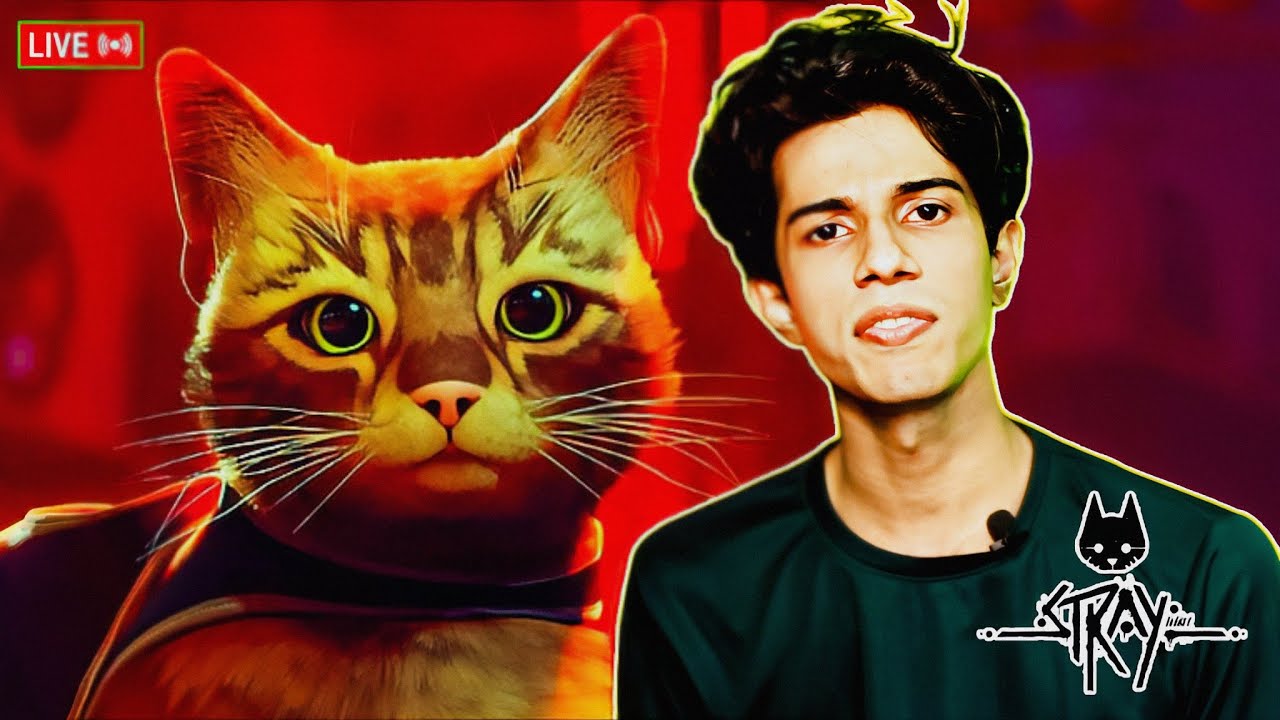 STRAY CAT ADVENTURE GAMEPLAY - YouTube