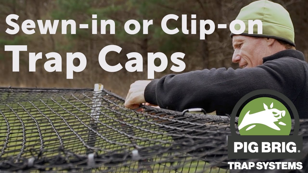 Sewn-in or Clip-on Trap Cap | Pig Brig Trap Systems - YouTube