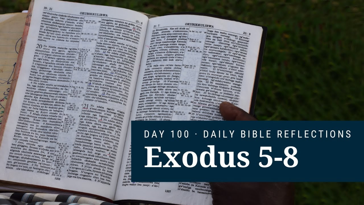 DAY 100 | Exodus 5-8 | The Bible in a Year - YouTube
