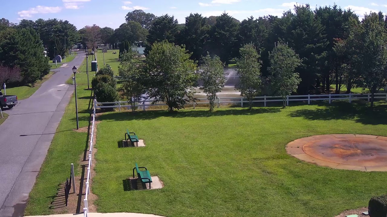 Homestead Web Cam Live Stream - YouTube