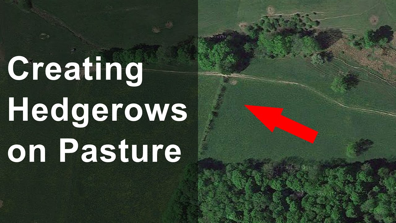 Creating Hedgerows on Pasture - YouTube