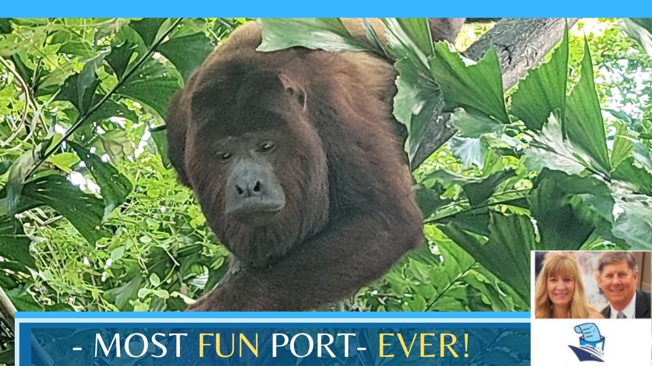 Best Port Ever? What is our favorite port so far in all of our travels ...