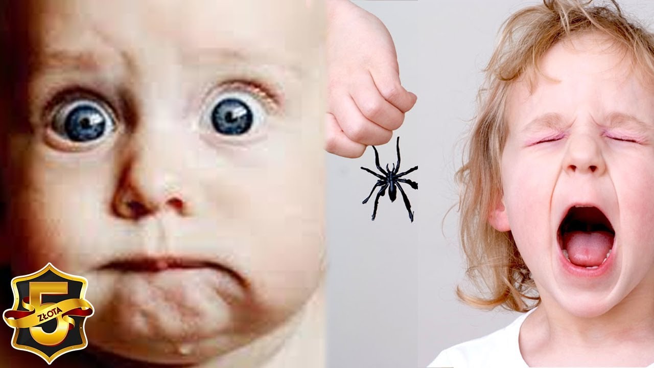 5 ZADZIWIAJĄCYCH FOBII! - YouTube