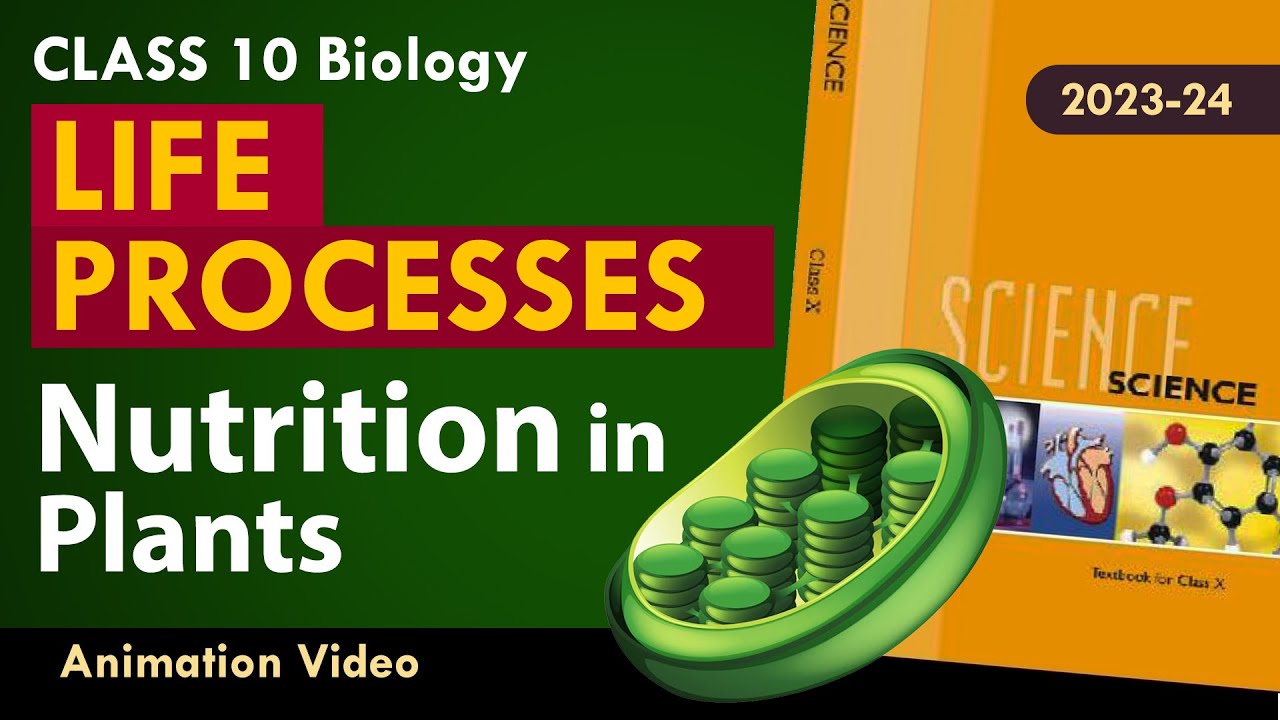 Life Processes Nutrition In Plants Class 10th Biology Ncert