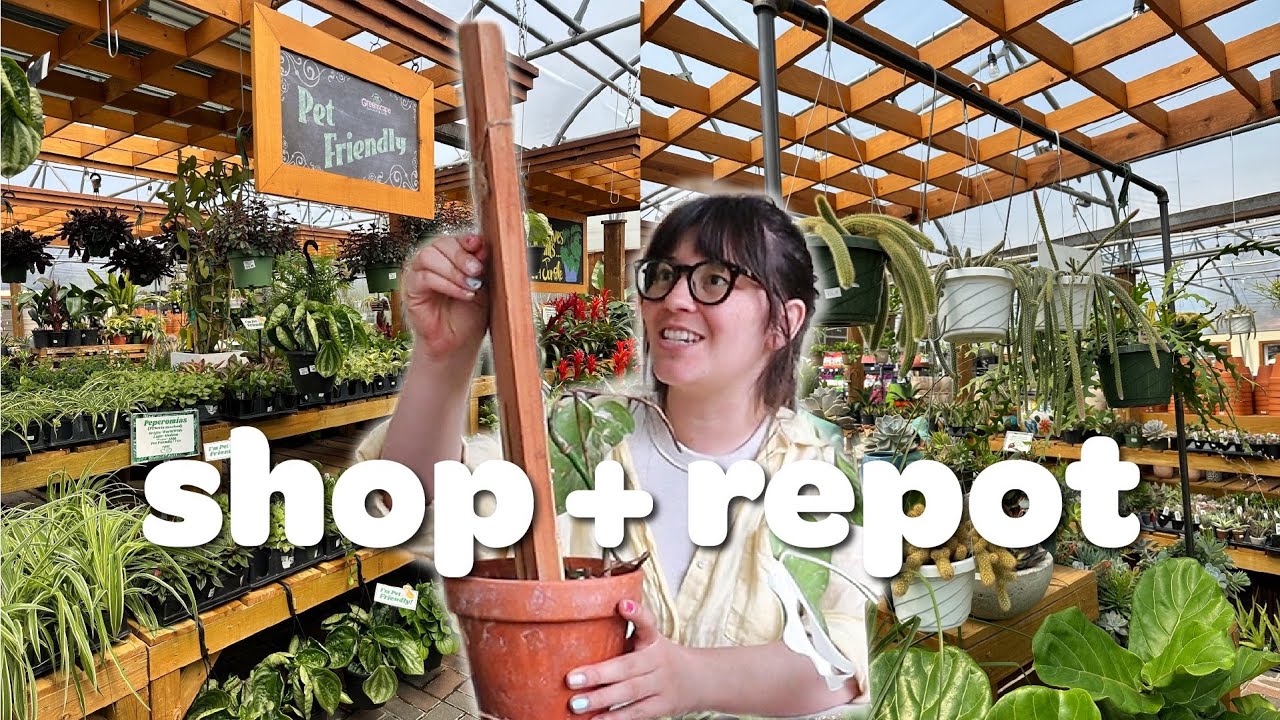 plant shopping in new cities + repotting a special new plant! - YouTube