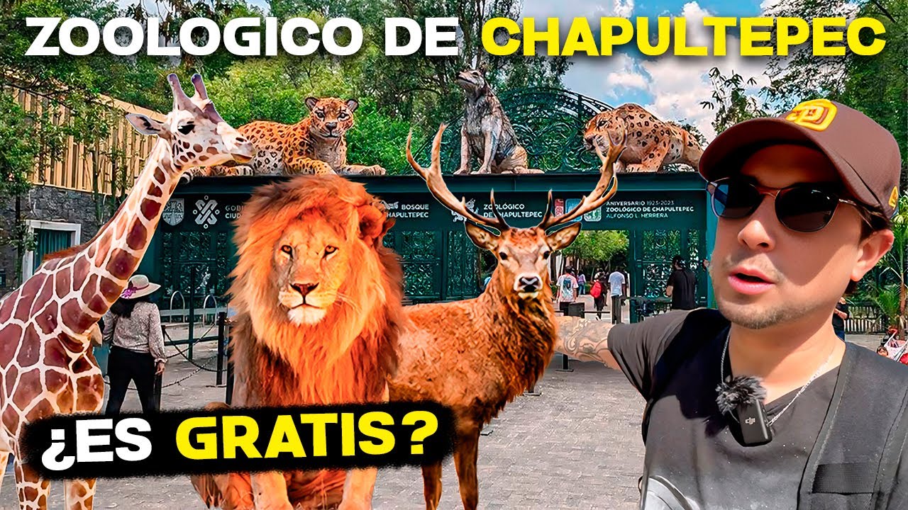 Así es el ZOOLÓGICO de CHAPULTEPEC 🦁🦒🇲🇽 Guía COMPLETA MEXICO - YouTube