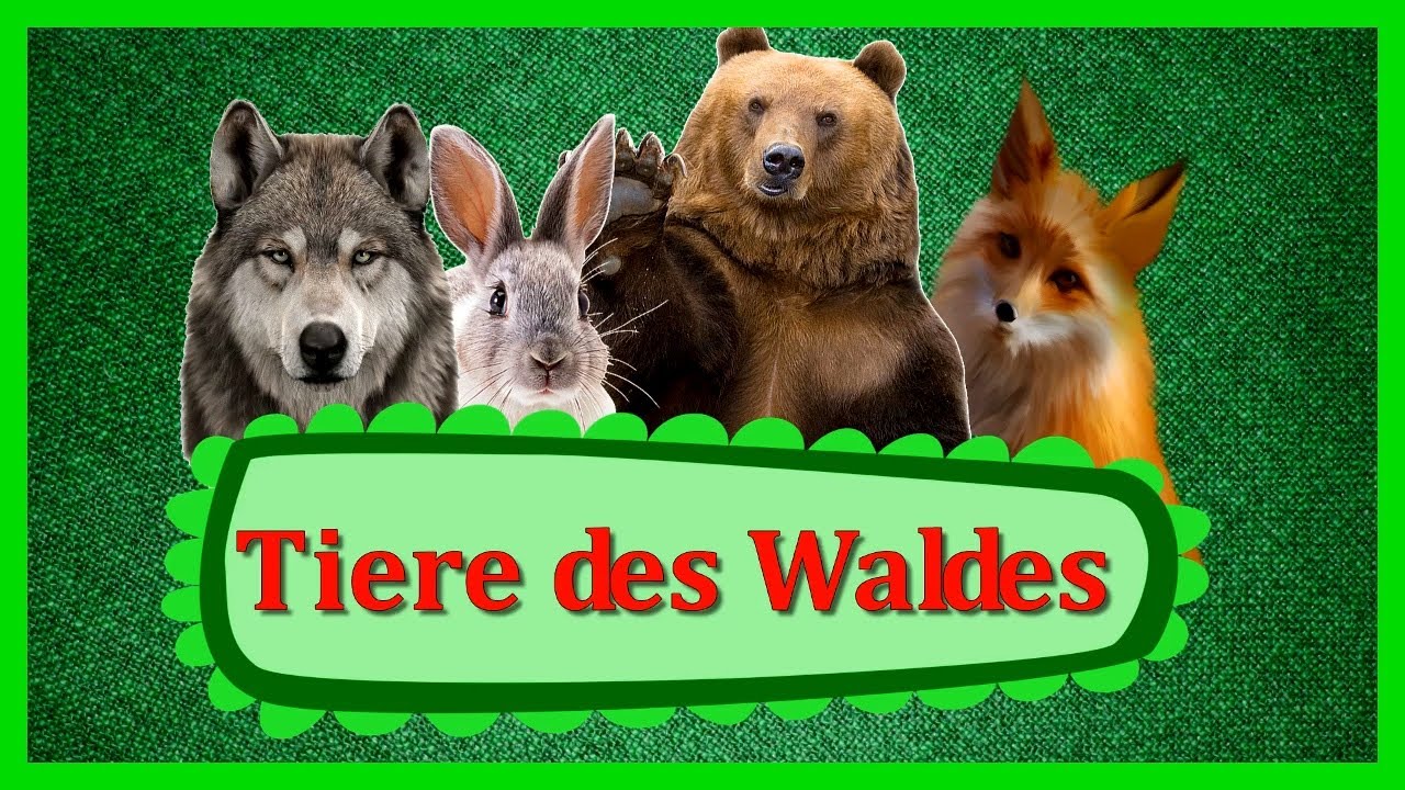 TIERE DES WALDES 🐰 Deutsch Doman Karten | Padagogische Karten Doman ...