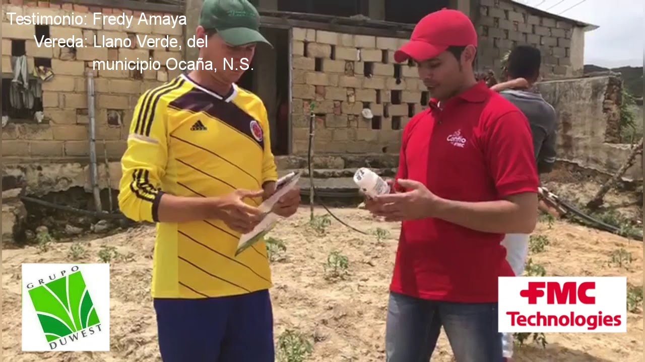 Programa Cyazypyr para el control de plagas chupadores y masticados en ...