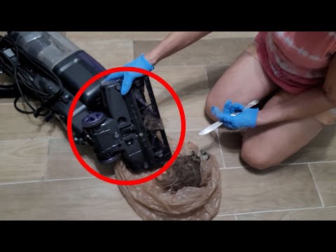 This is What Happens If You Don't Clean The Vacuum Roller