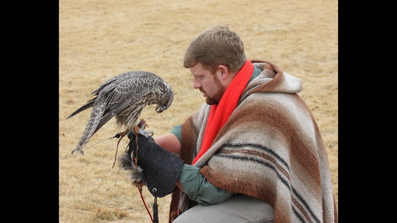 How to properly pick up and set down a raptor - YouTube