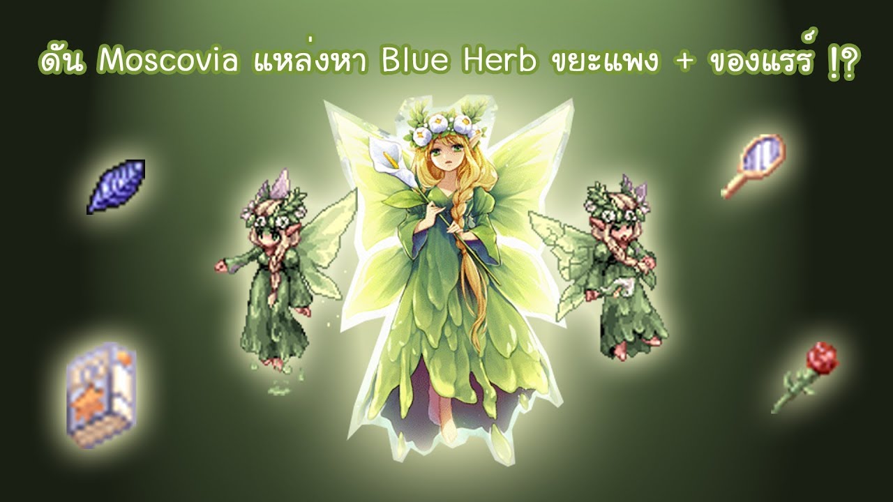Ragnarok EXE : ดัน Moscovia แหล่งหา Blue Herb ขยะแพง + ของแรร์ !? - YouTube