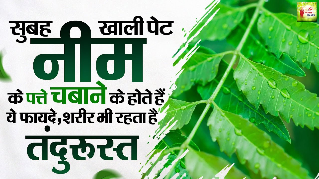 सुबह खाली पेट नीम के पत्ते खाने के फायदे | Neem Ke Patte Khane Ke Fayde ...