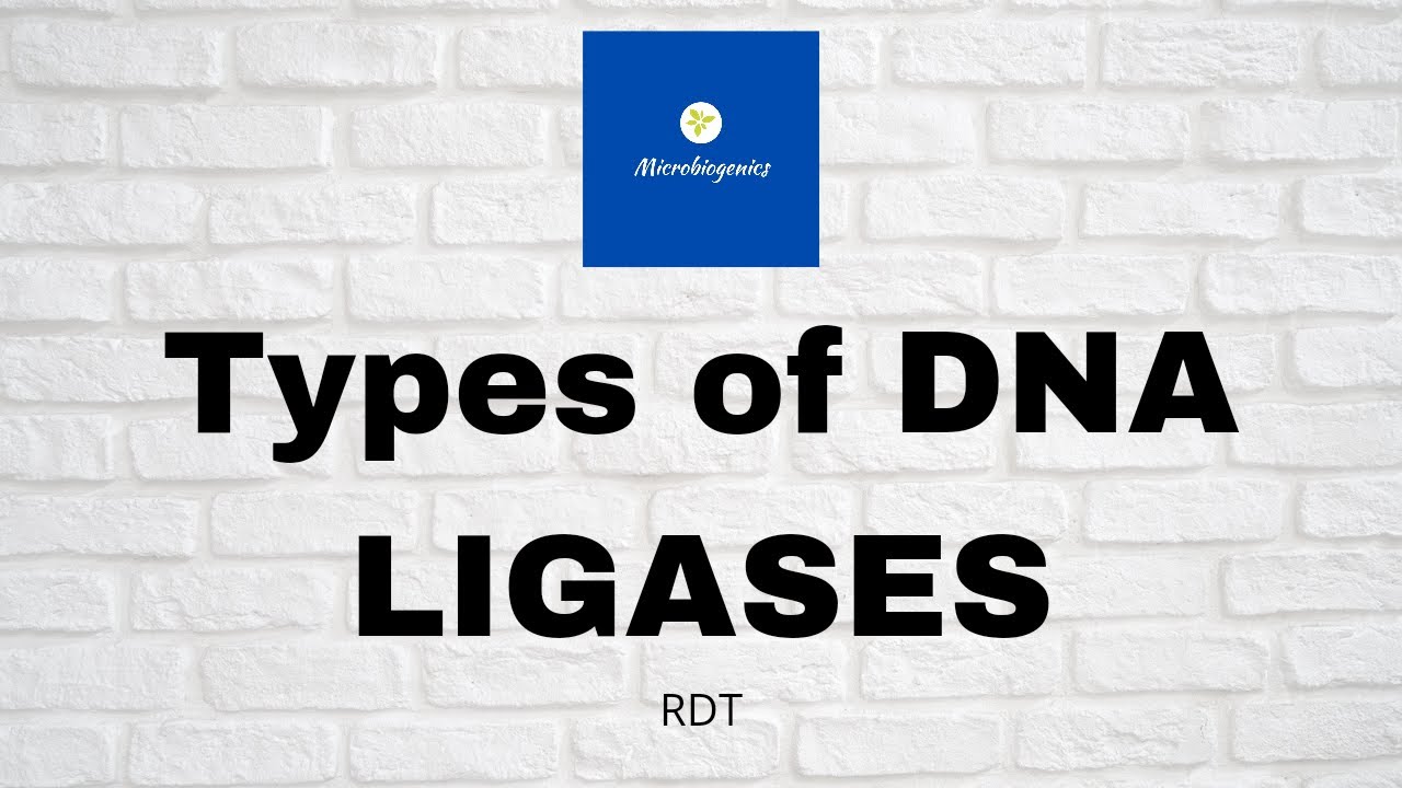 Types of DNA Ligase - YouTube