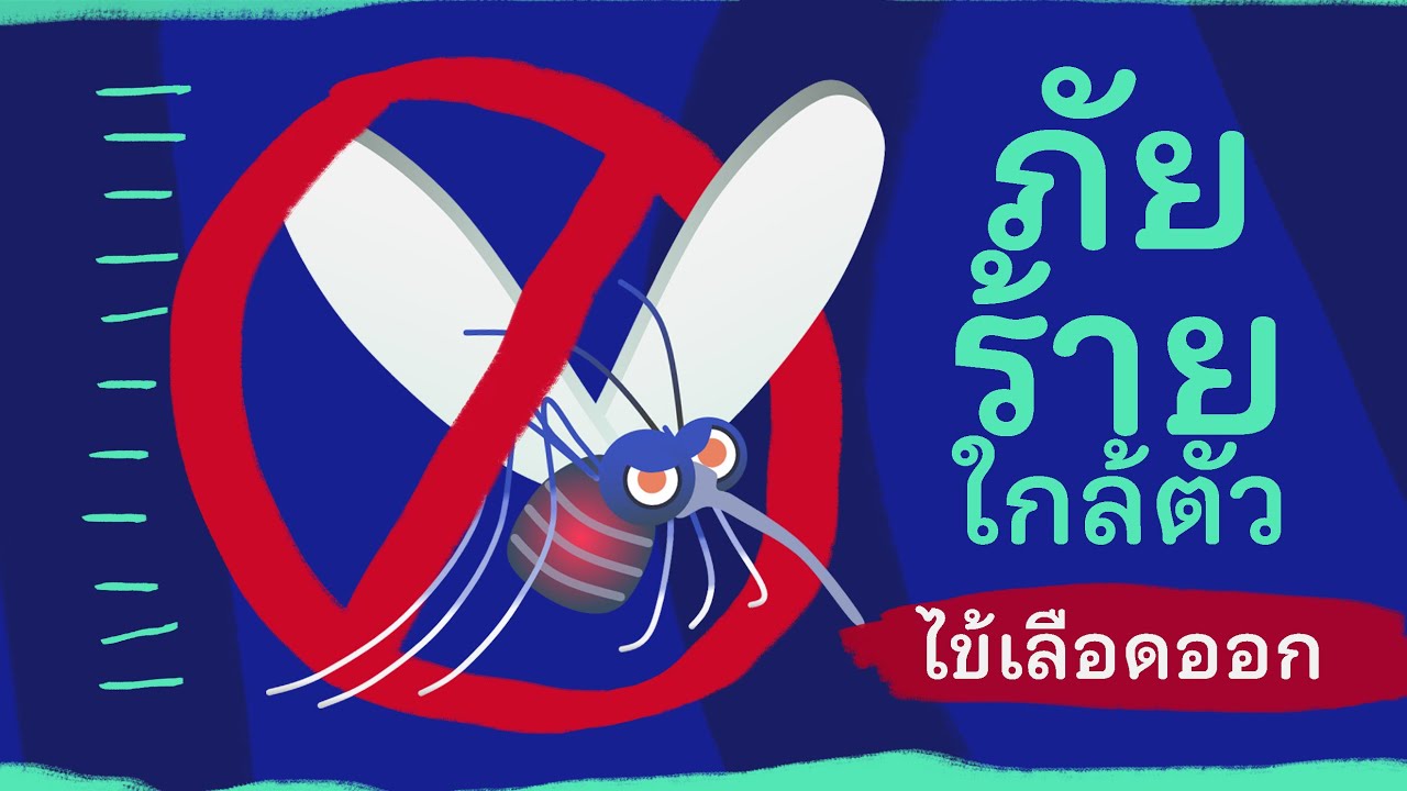 Motion Infographic | Dengue Danger 🚫🦟 (MS Powerpoint) - YouTube
