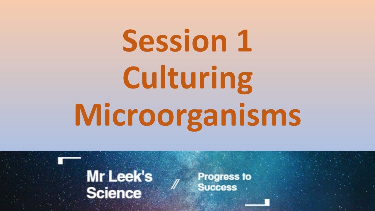 Session 01 Culturing microorganisms AQA Science - YouTube