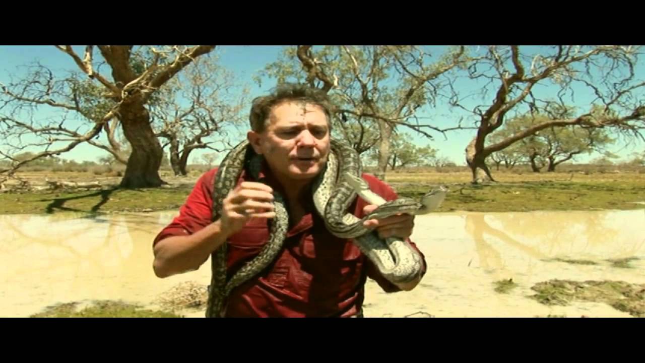 Outback Pythons Wildlife Man - YouTube
