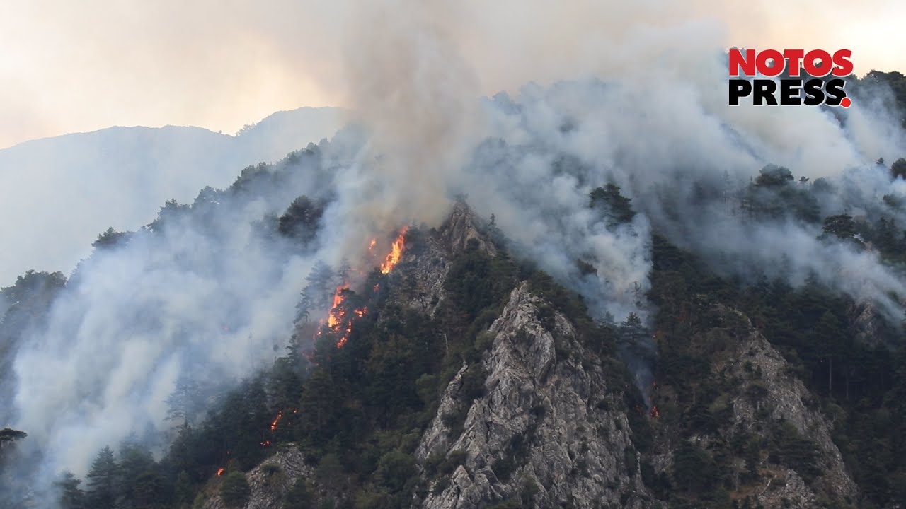 Πυρκαγιά στον Ταΰγετο: Μια μάχη που κέρδισαν το «πεζικό» και η ...