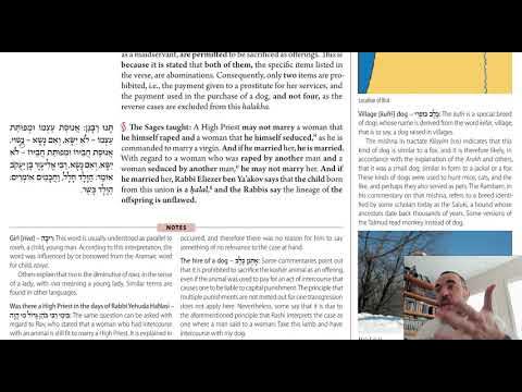 Daf Yomi - Yevamot 60 - Kohen Marrying a Convert - YouTube