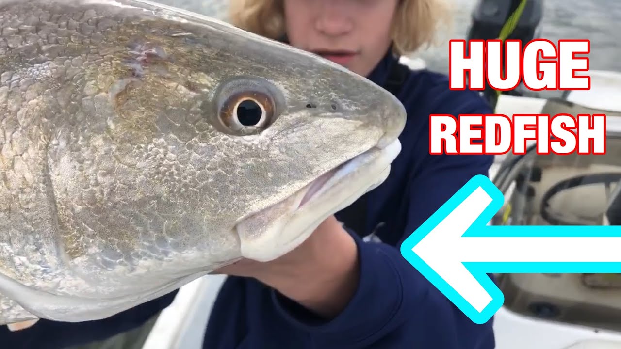 Fishing for HUGE Redfish!!! (Gulf Shores Alabama) - YouTube