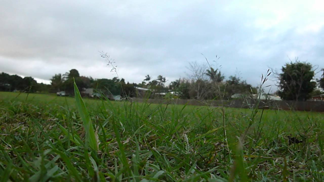 Little shy hooning in Australia - YouTube