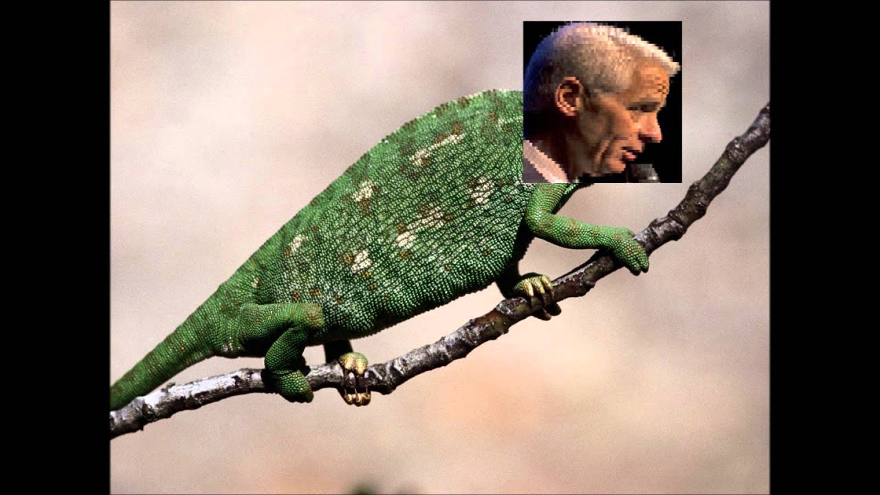 Schnitt Show Charlie Crist syesnick - YouTube