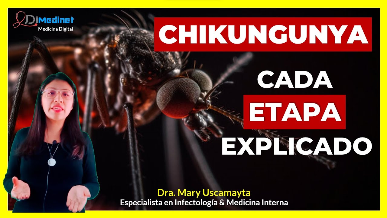 🟢 CHIKUNGUNYA: LA ENFERMEDAD QUE TE RETUERCE EN TRES FASES 🦟 - YouTube
