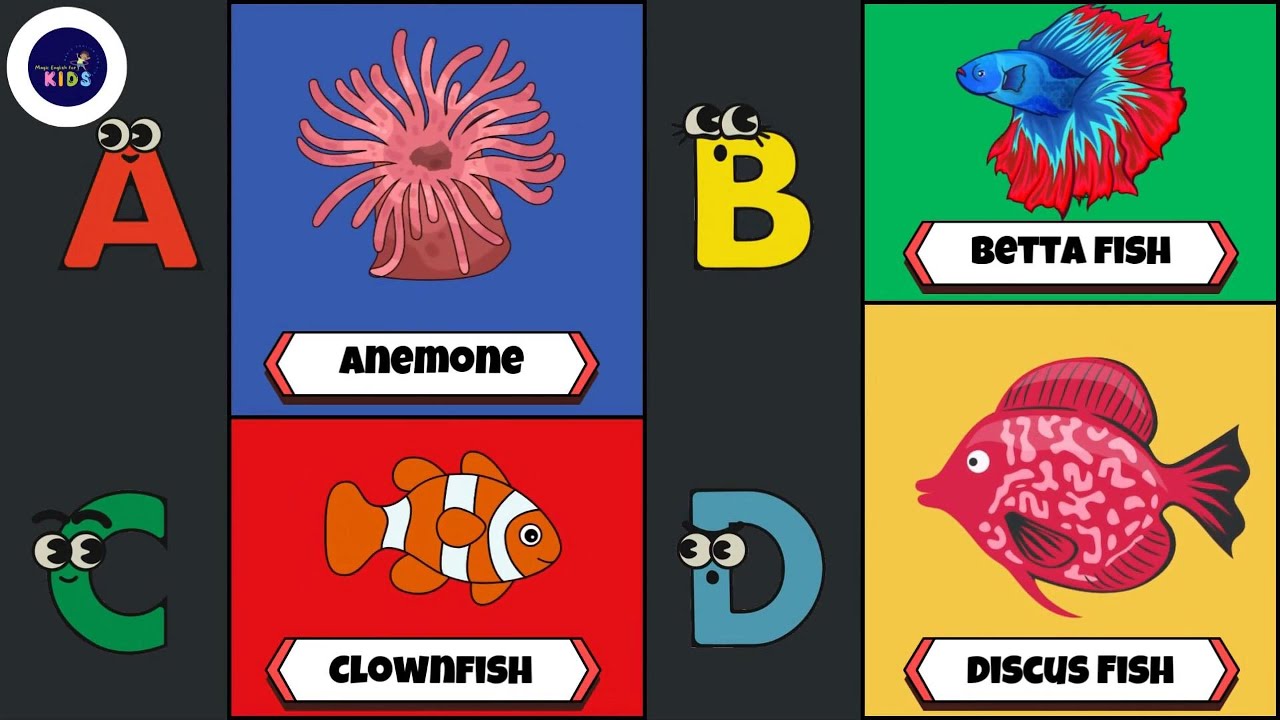 ABC Sea Animals Song p6 | Fun Ocean Animals for Kids! 🌊🎶 | ABC phonics ...