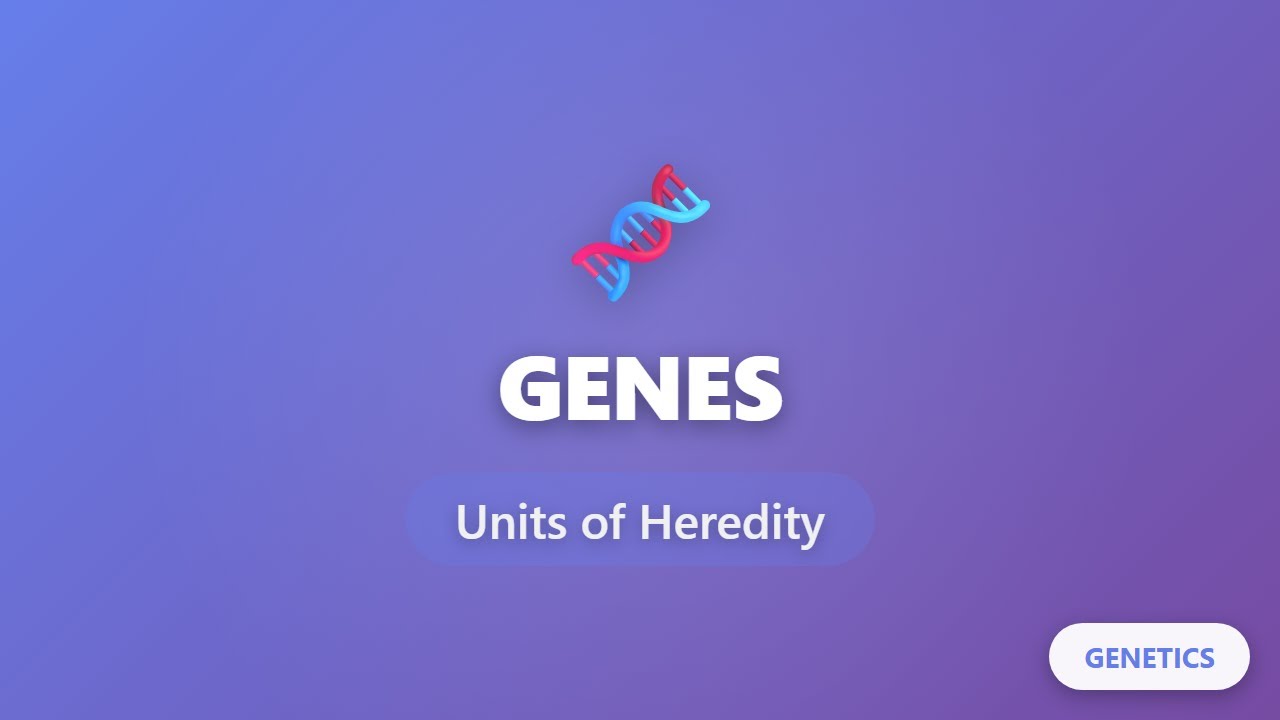 Genes: Units of Heredity Explained | Genetics Basics for Beginners ...