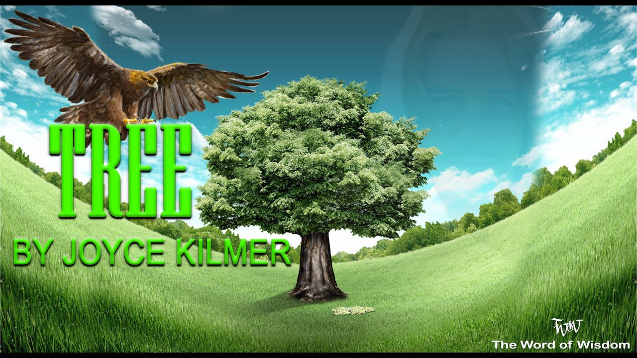 Tree - The Word of Wisdom Poem Series - YouTube